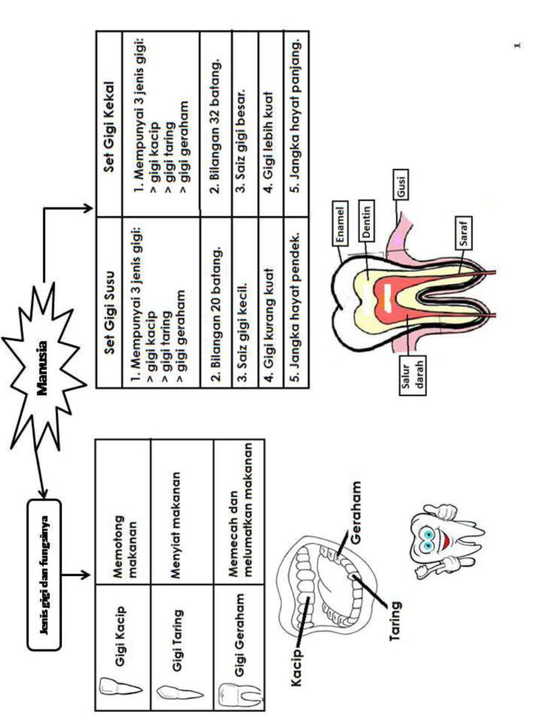Nota Lengkap Sains untuk tahun 3,4,5, dan 6-1-64 – AStar Academy